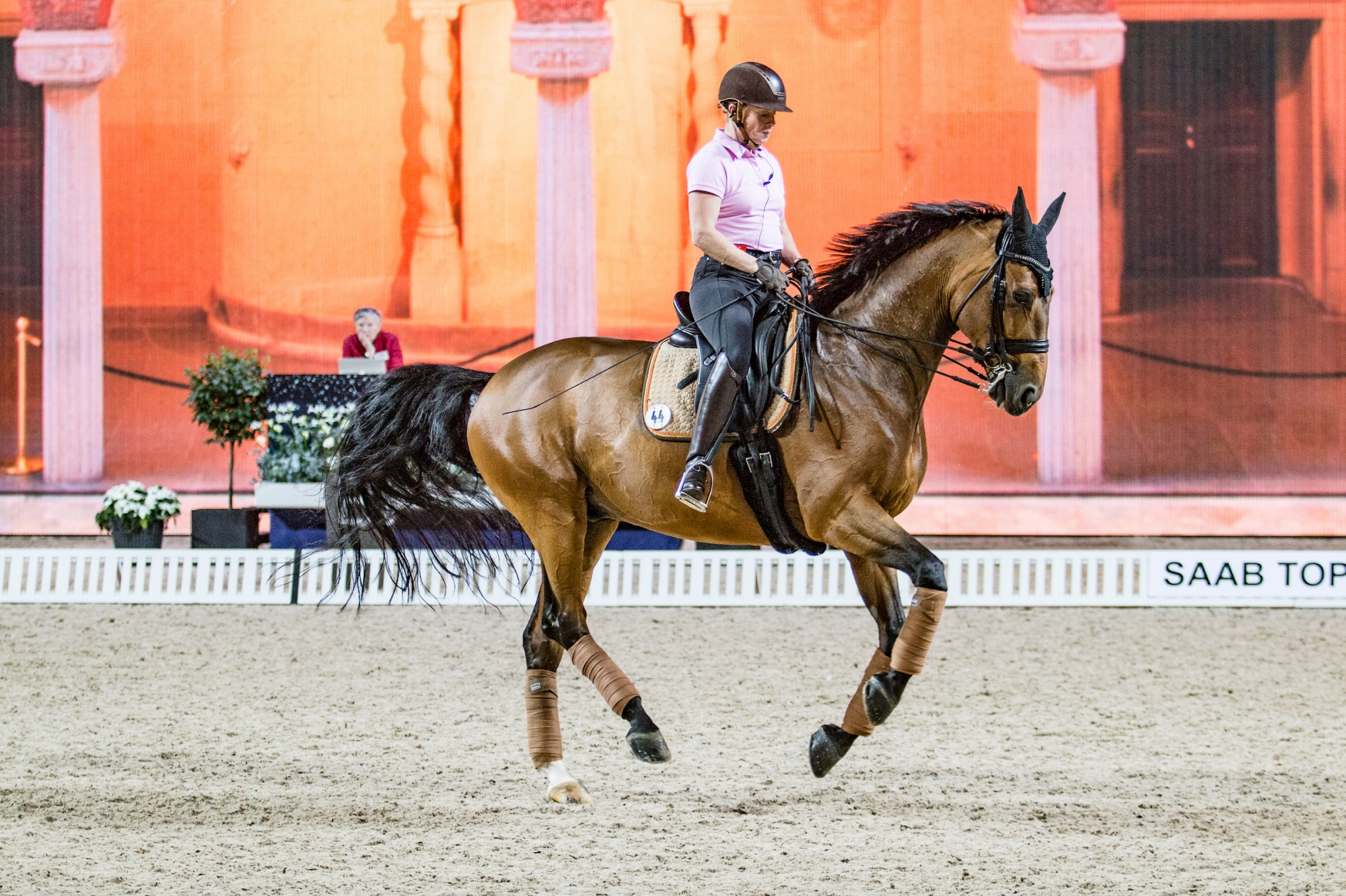 Isabell Werth: ”Emilio har ännu mer poäng att hämta” - Ridsport