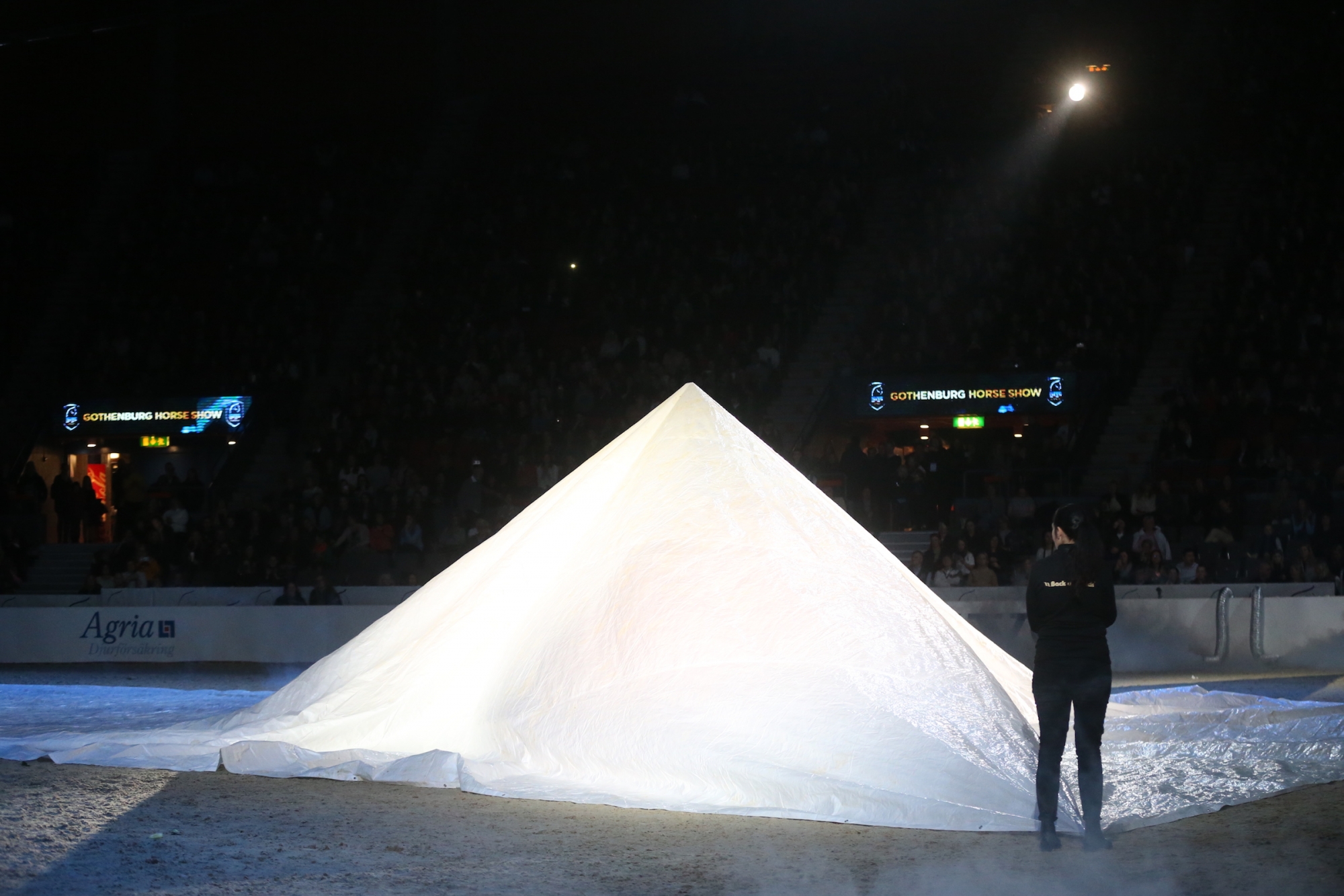 Anna Blomgren förtrollade Scandinavium - Ridsport