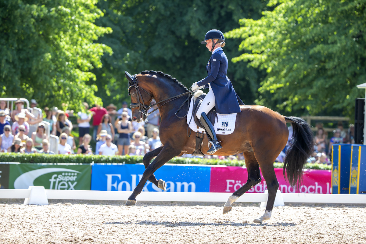 Godkände hingsten och EM-medaljören Zuidenwind död - Ridsport