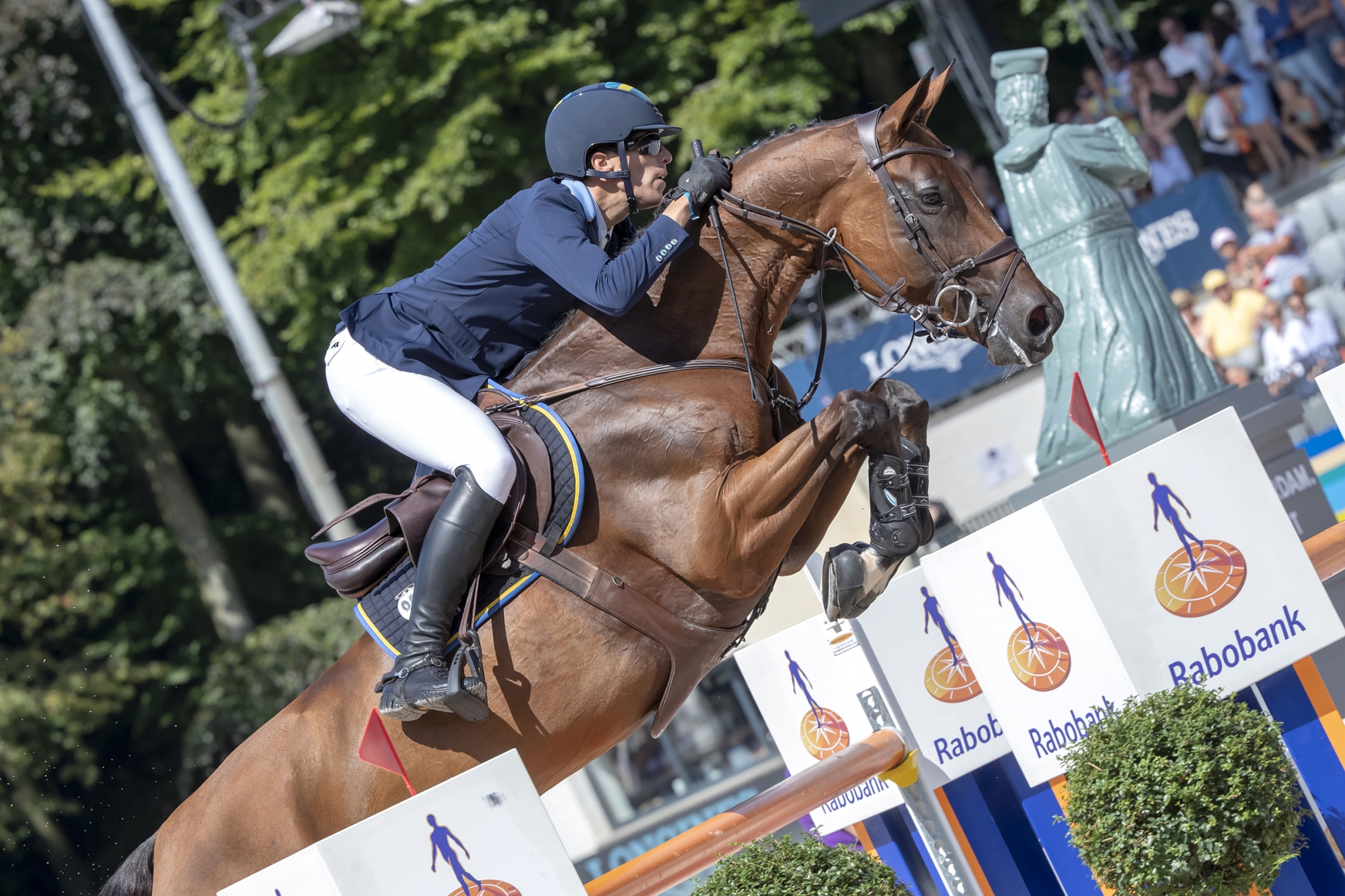 Embryo från Toveks Mary Lou sålt - Ridsport