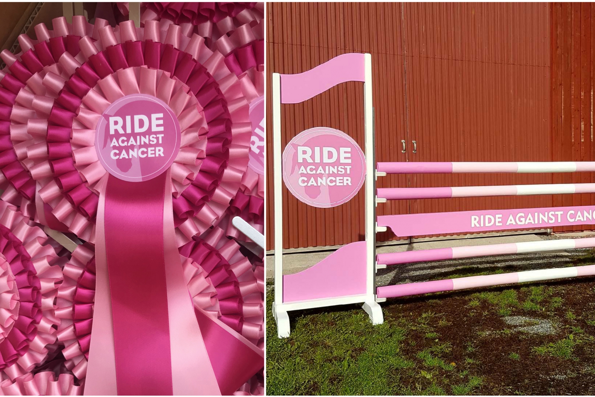 Så mycket samlade Ride Against Cancer in - Ridsport