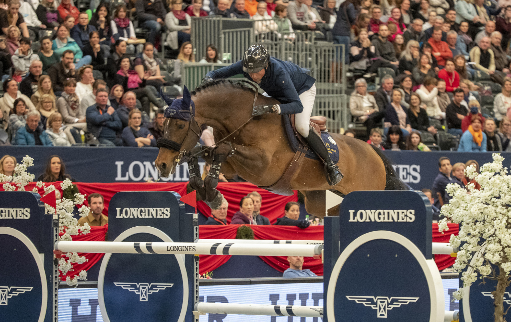 Martin Fuchs har inte brutit mot FEI:s regler - Ridsport
