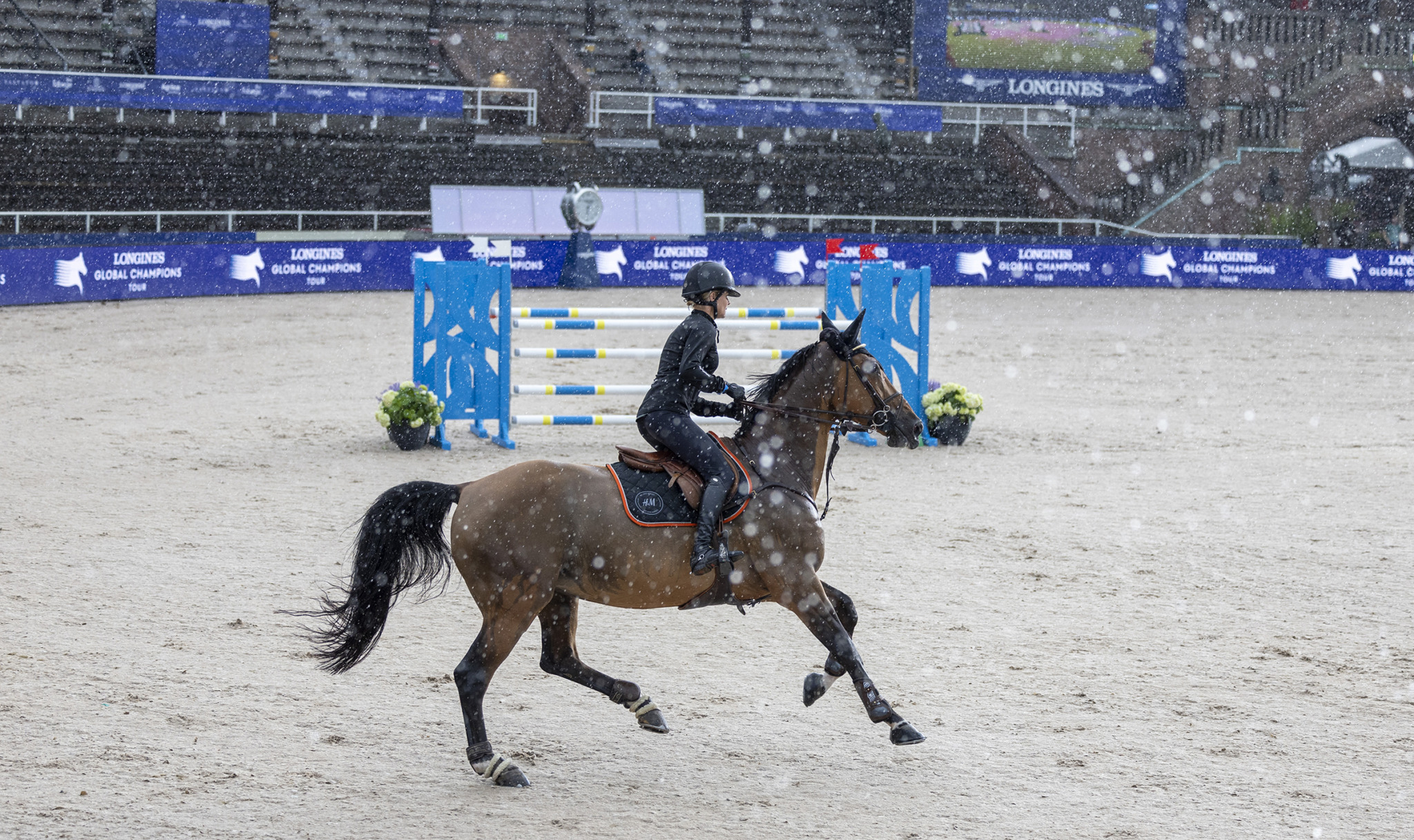 VM-aktuella svenskar i Stockholm: "Hoppas han är i bra form" - Ridsport