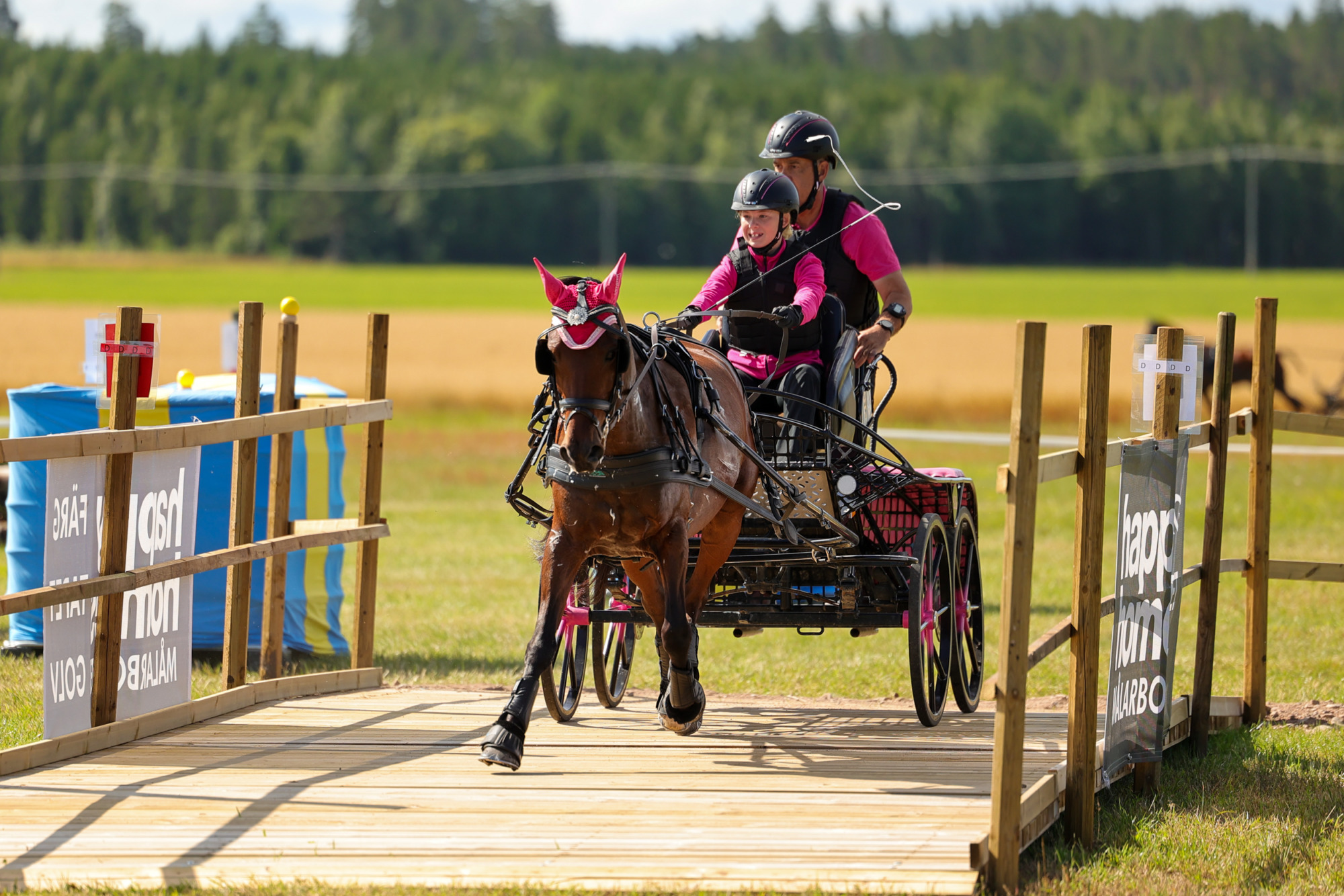 Bildextra: Nio nya svenska mästare i sportkörning - Ridsport