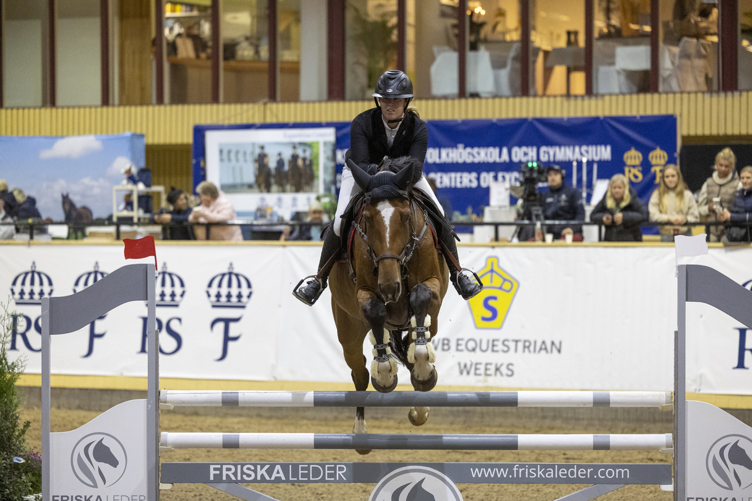 Nära hälften av 5-åringarna felfria i första kvalet - Ridsport