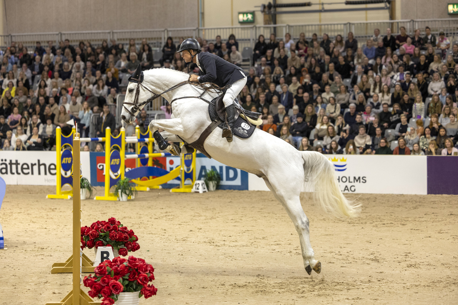 Rolf-Göran Bengtsson siktar högt med nya förstahästen - Ridsport