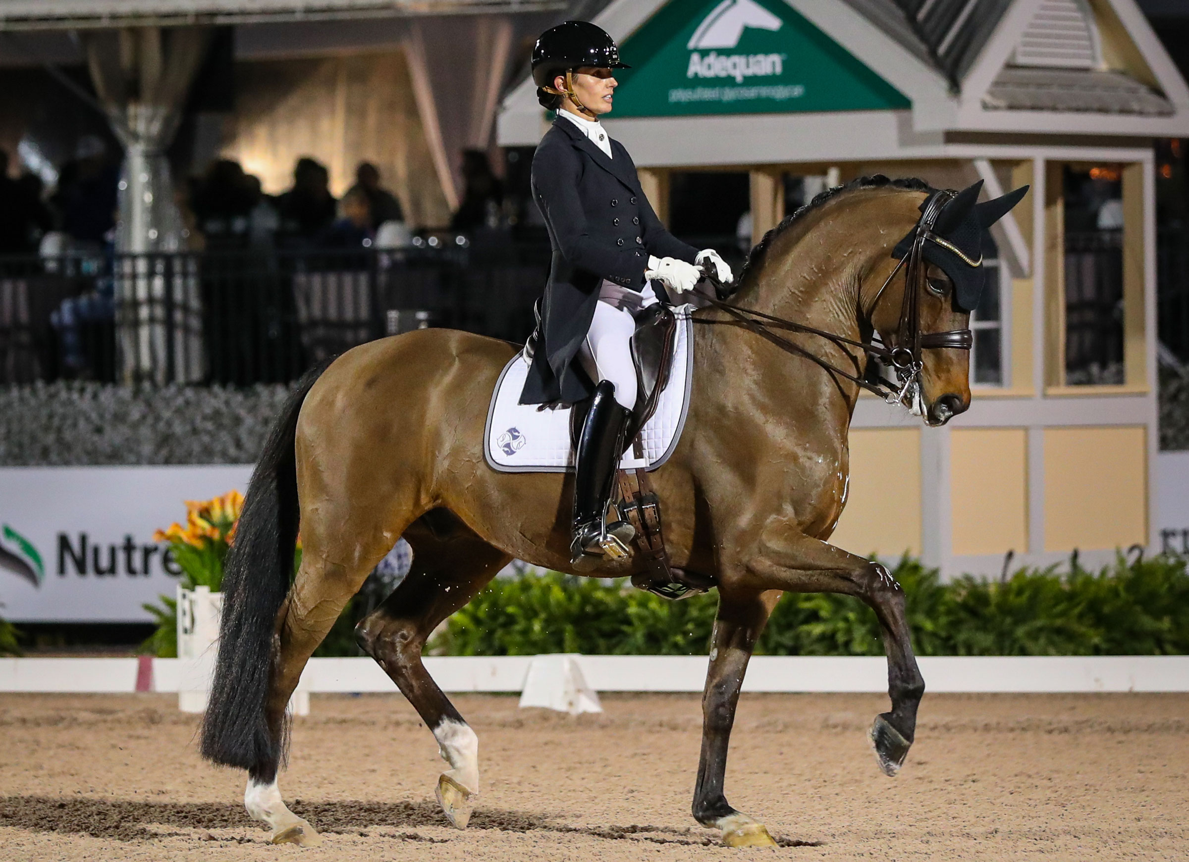 Caroline Darcourt om klättringen: "Sakta men säkert" - Ridsport