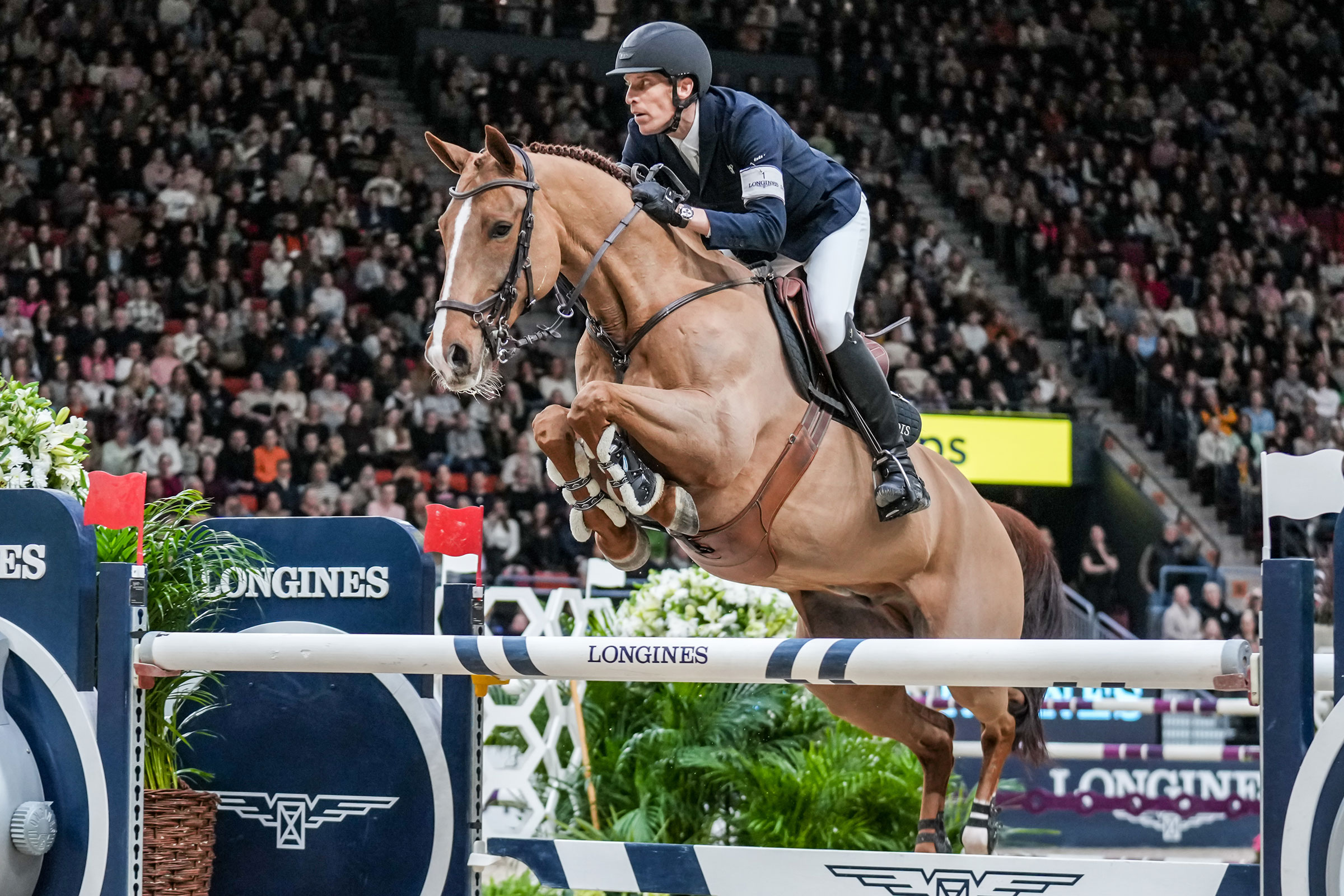 Århundradets bästa hoppekipage? - Ridsport