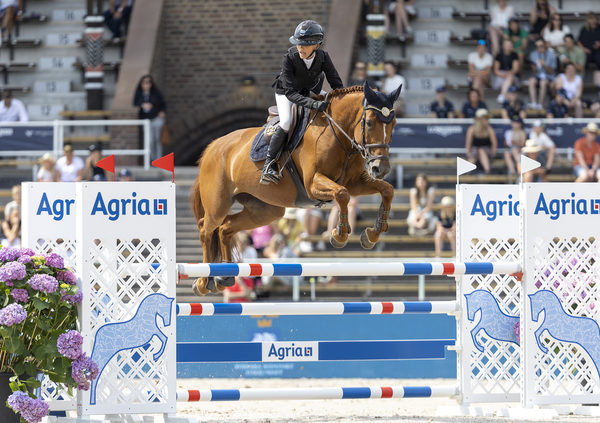 Systrar på pallen i SHW Young Talents - Ridsport