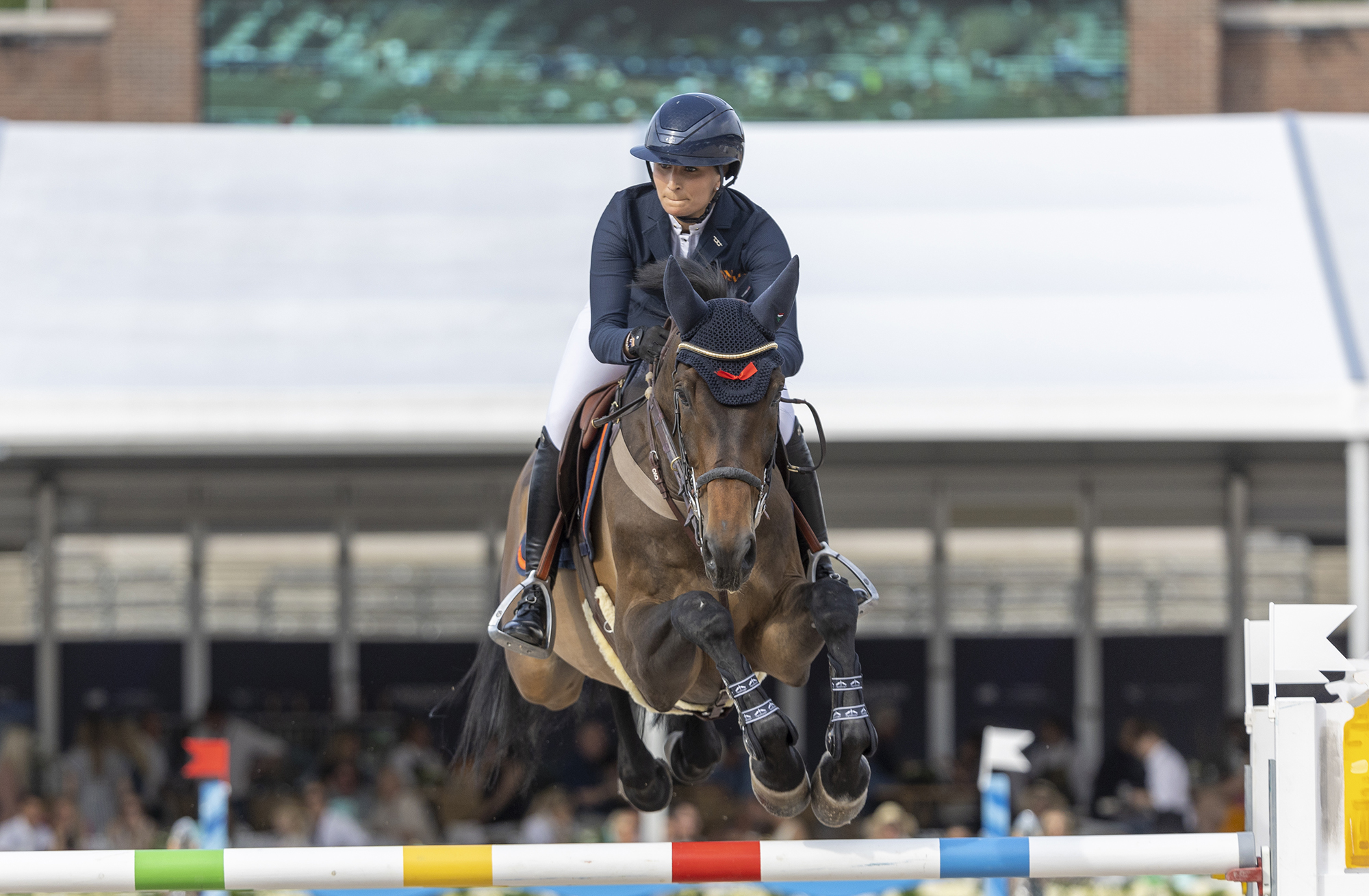 Wilma Hellström: ”Quinti är ett wild child” - Ridsport