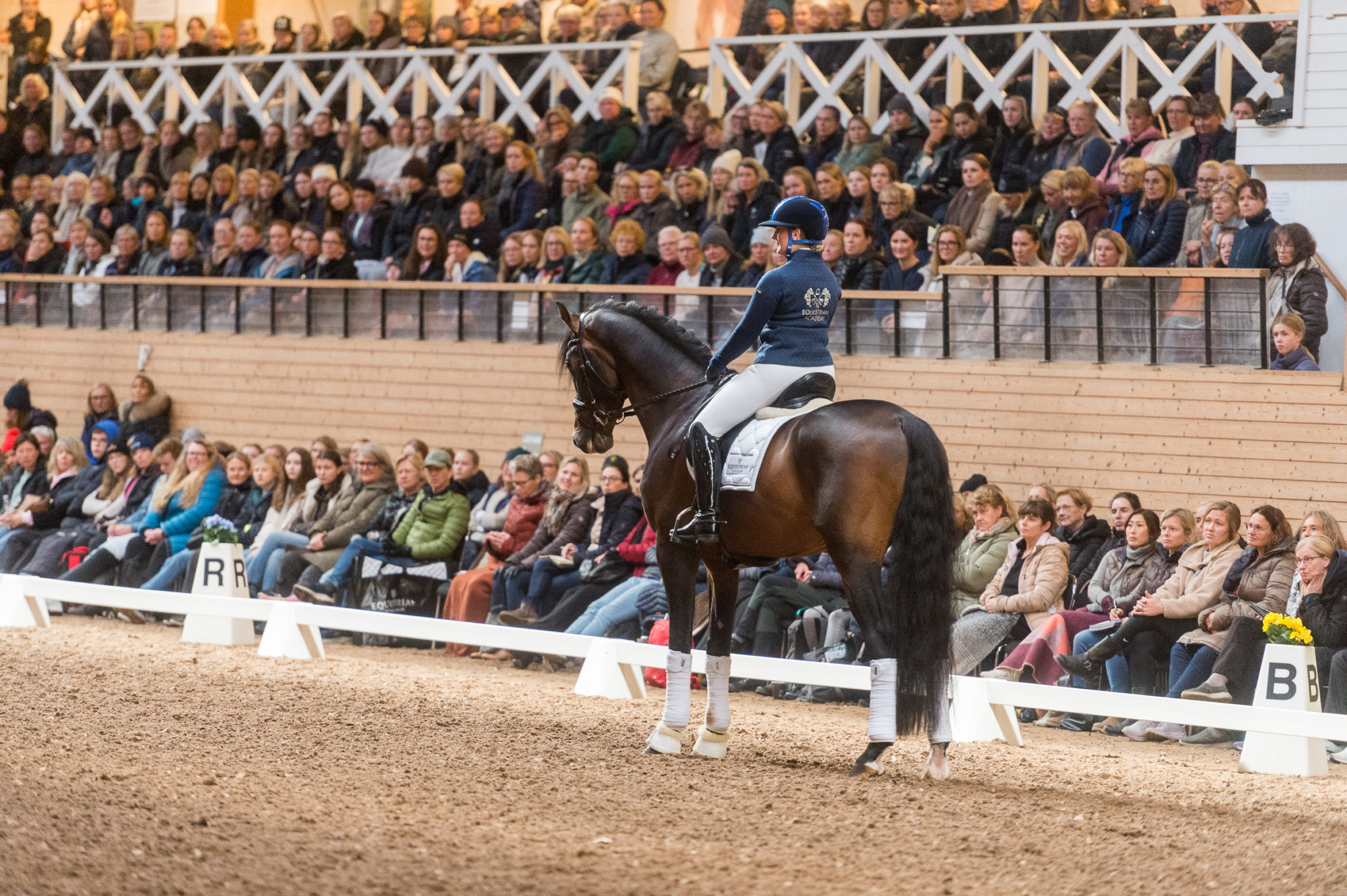 Clinic med Carl Hester: "Räkna alltid sprången" - Ridsport