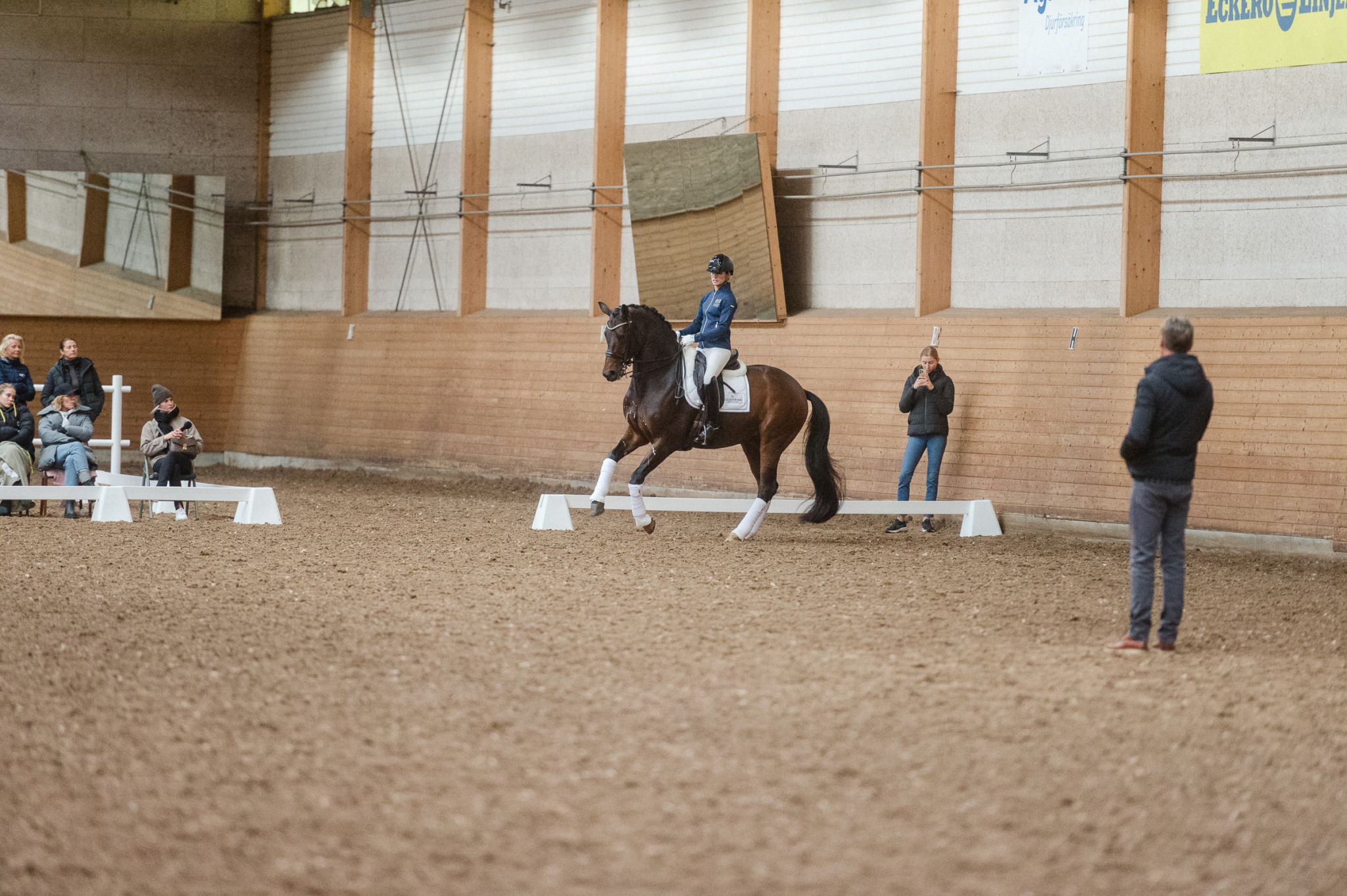 Clinic med Carl Hester: "Galoppera på stället" - Ridsport