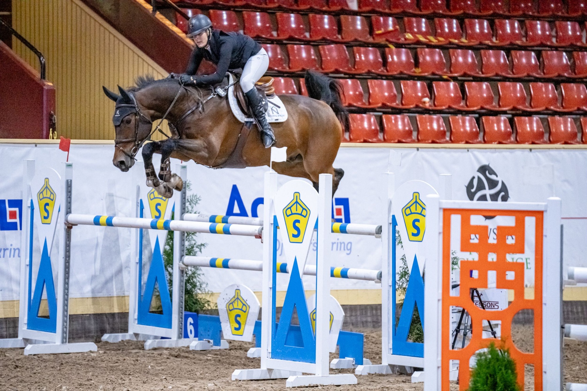 Sandra strykande nära seger: ”Allt känns enkelt med Karimo” - Ridsport