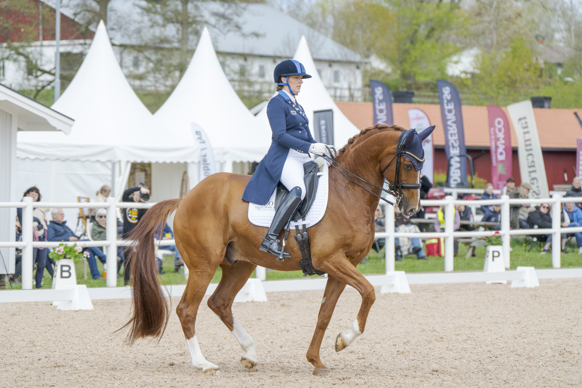 Medaljregn över svenska NBM-ekipage - Ridsport
