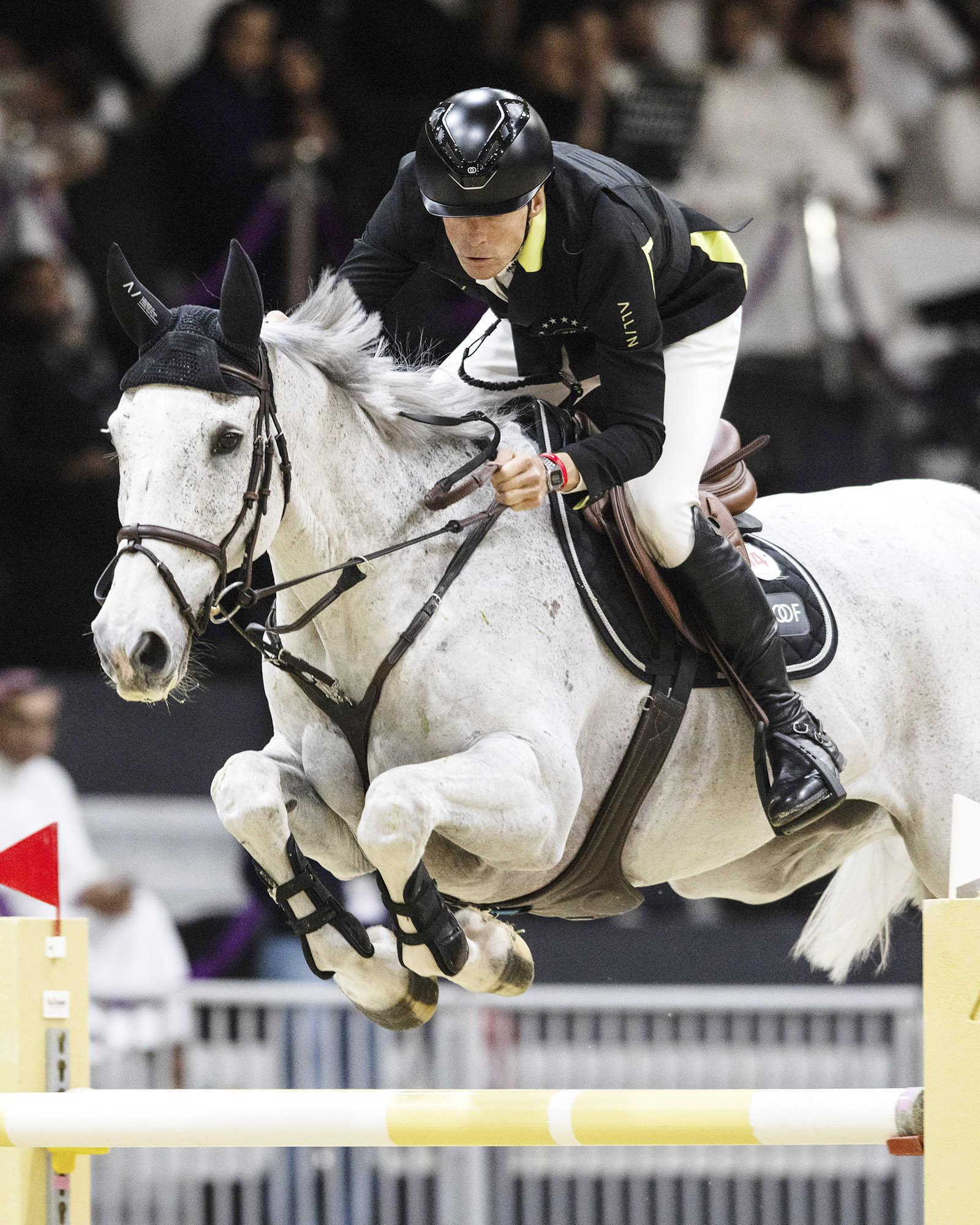 Världscuphästarnas stammar: "King Edward är ett unikum" - Ridsport