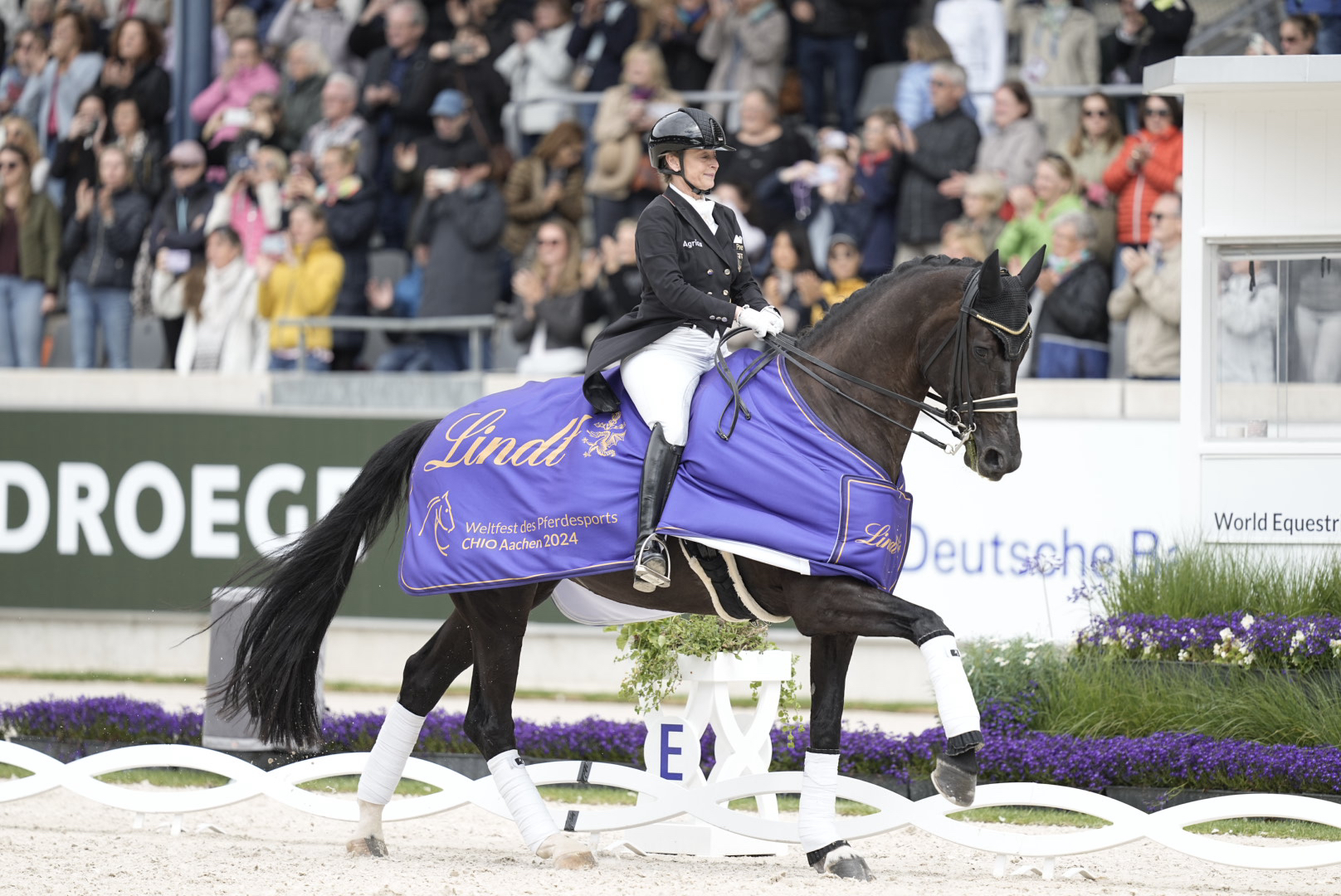 Tysklands OS-lag i dressyr klart - Ridsport