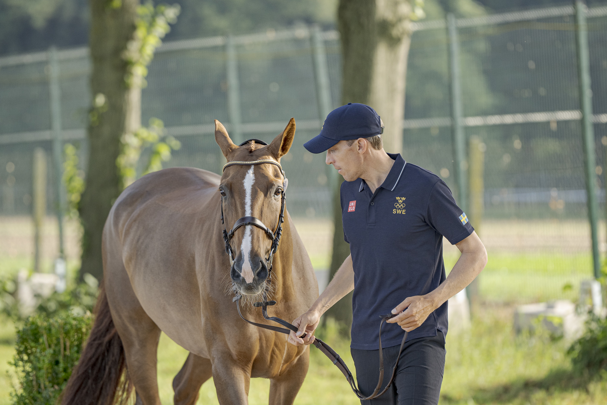 ”Värmen är bra för King Edward” - Ridsport