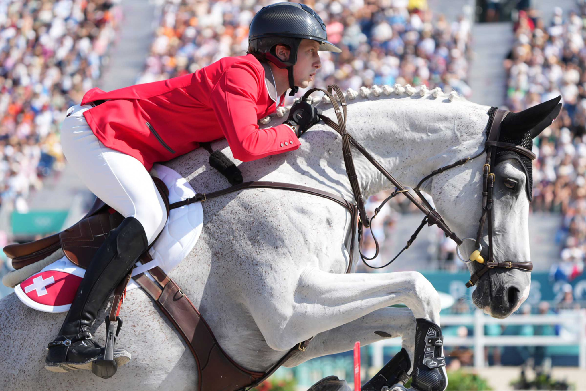 Live från OS i Paris: Hårt fall för Henrik von Eckermann - Ridsport