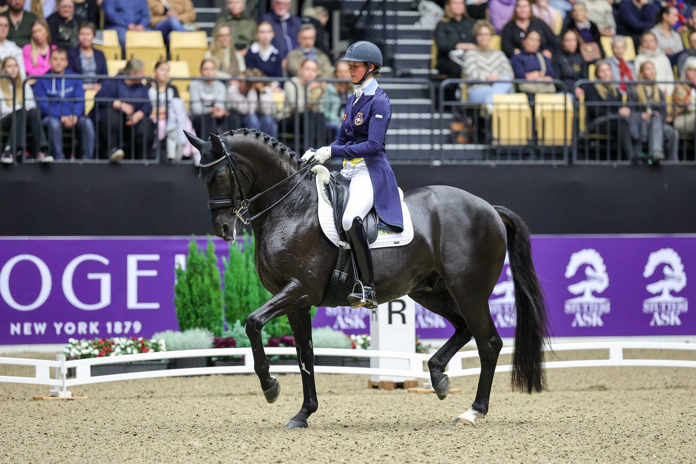 Allt du behöver inför dagens kürfest i Herning - Ridsport