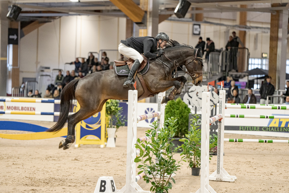 Ännu en SWB-häst till Shane Sweetnam - Ridsport