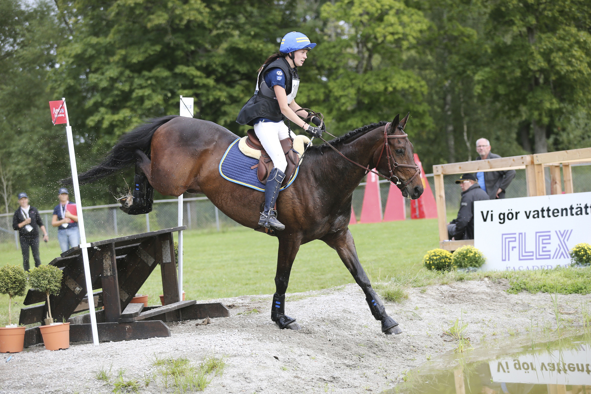 Hakunamatata – en 20-årig fälttävlanslegendar - Ridsport