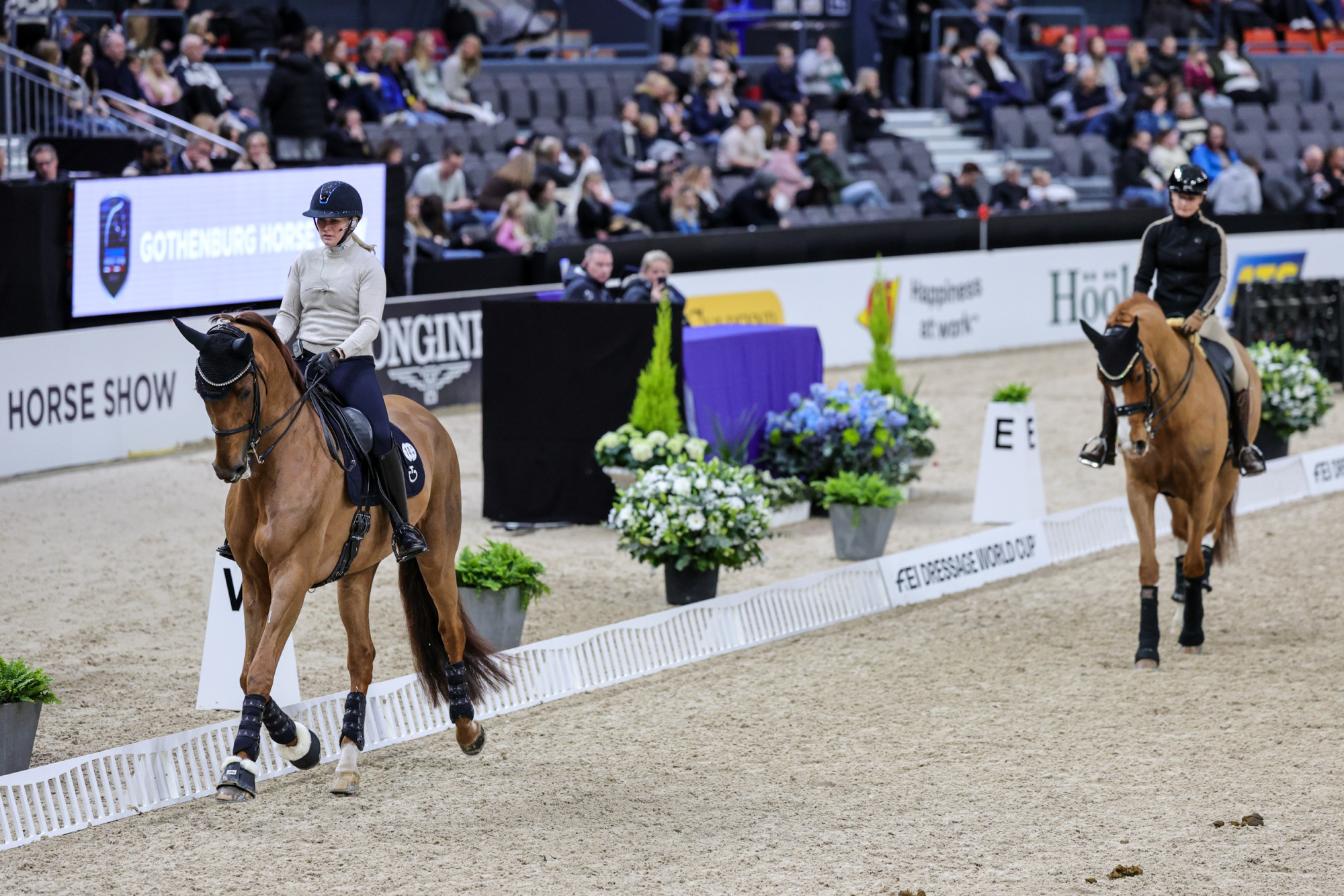Världsstjärnor och svensk revanschlust i Scandinavium - Ridsport