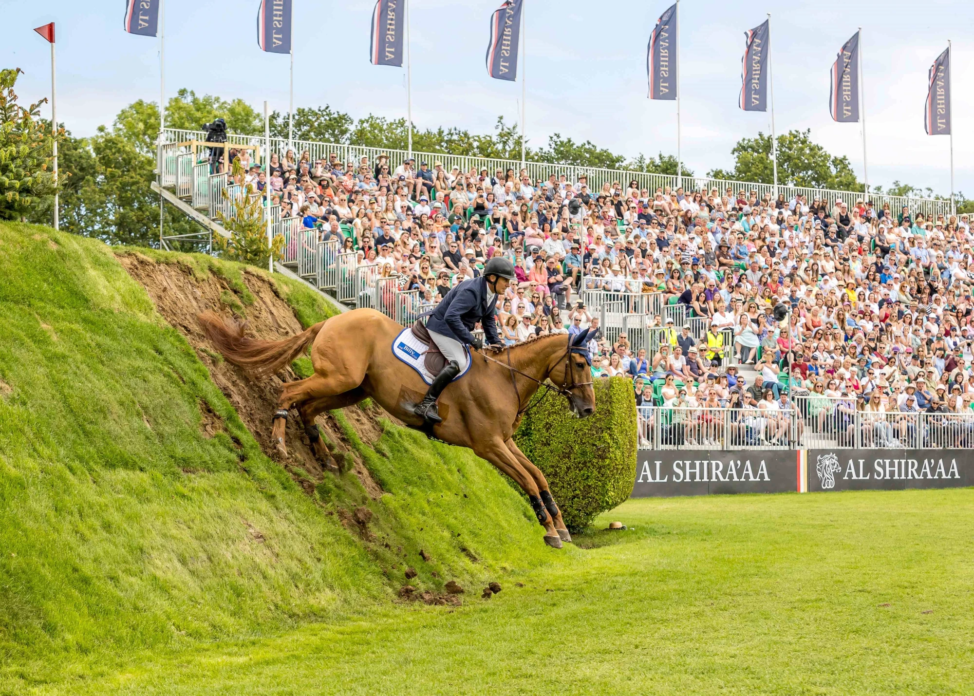 Al Shira'aa räddade klassiska Hickstead Derby - Ridsport