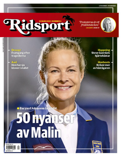 Ny satsning på djurskydd i kris och krig - Ridsport
