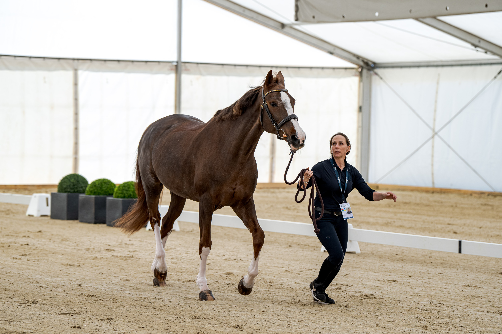 Sydafrikanska succéryttaren: "Detta kunde jag inte ens drömma om ...