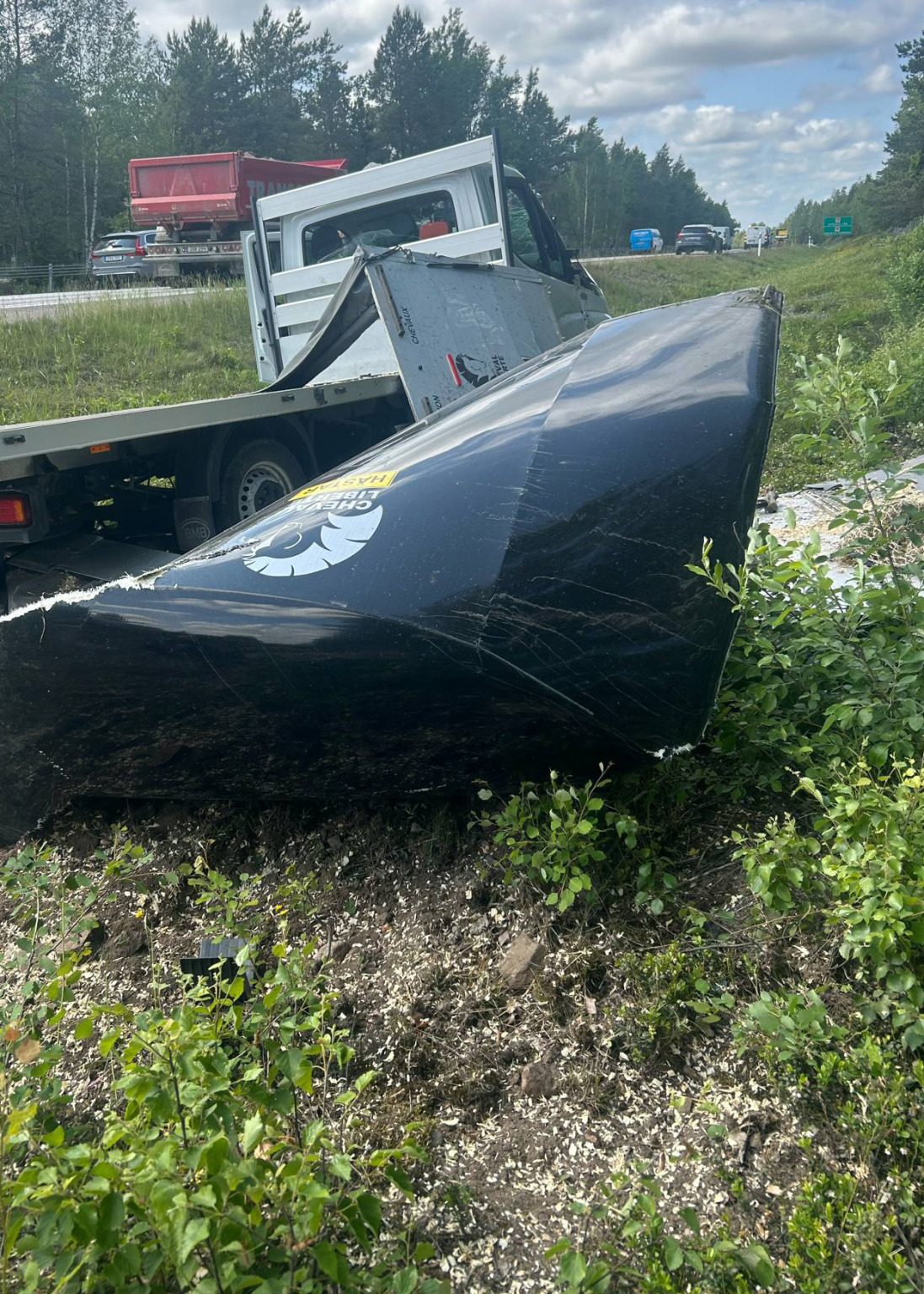 Resan till hingsten slutade i tragedi - Ridsport