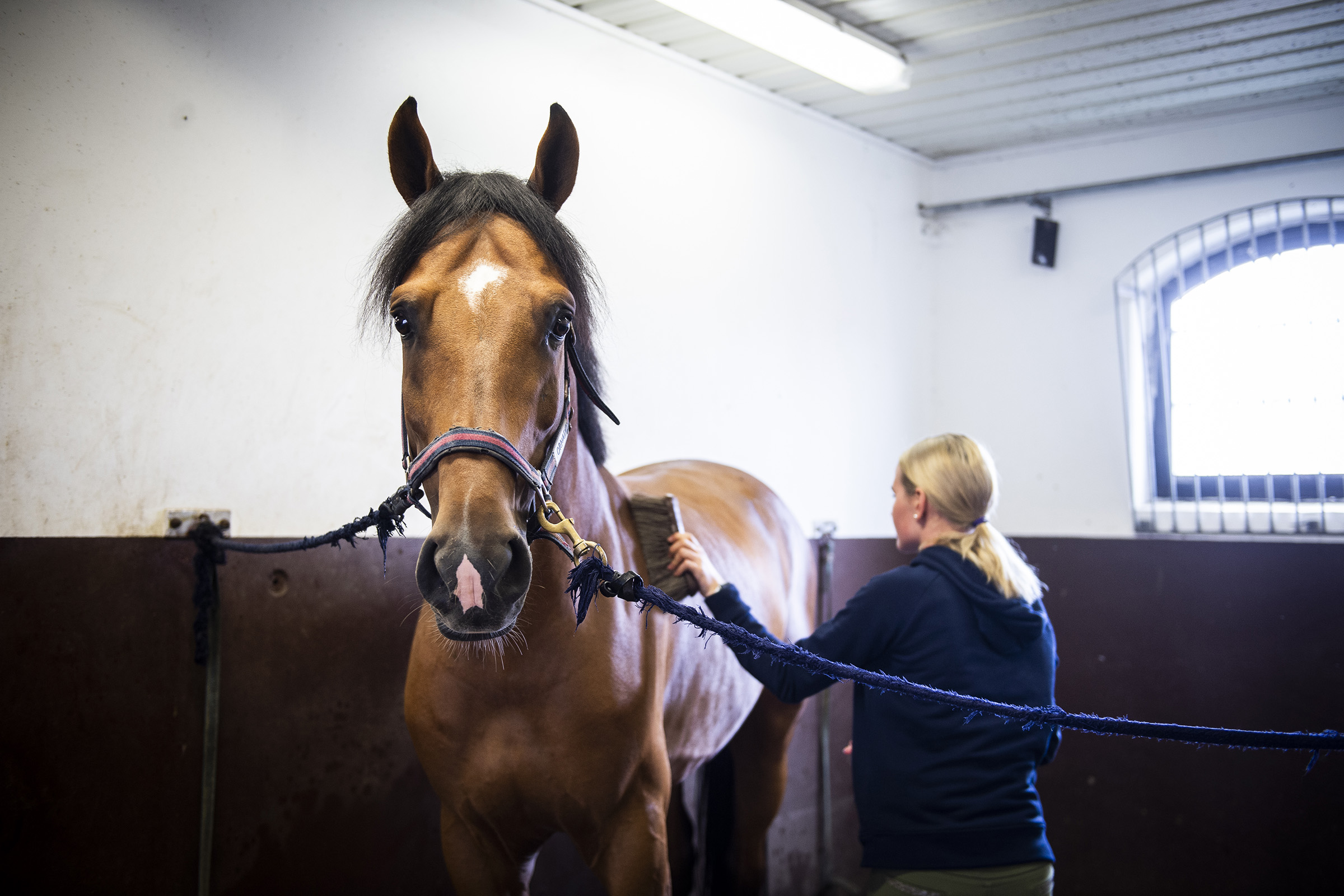 Uppbindning - dolda faror och osynliga skador - Ridsport