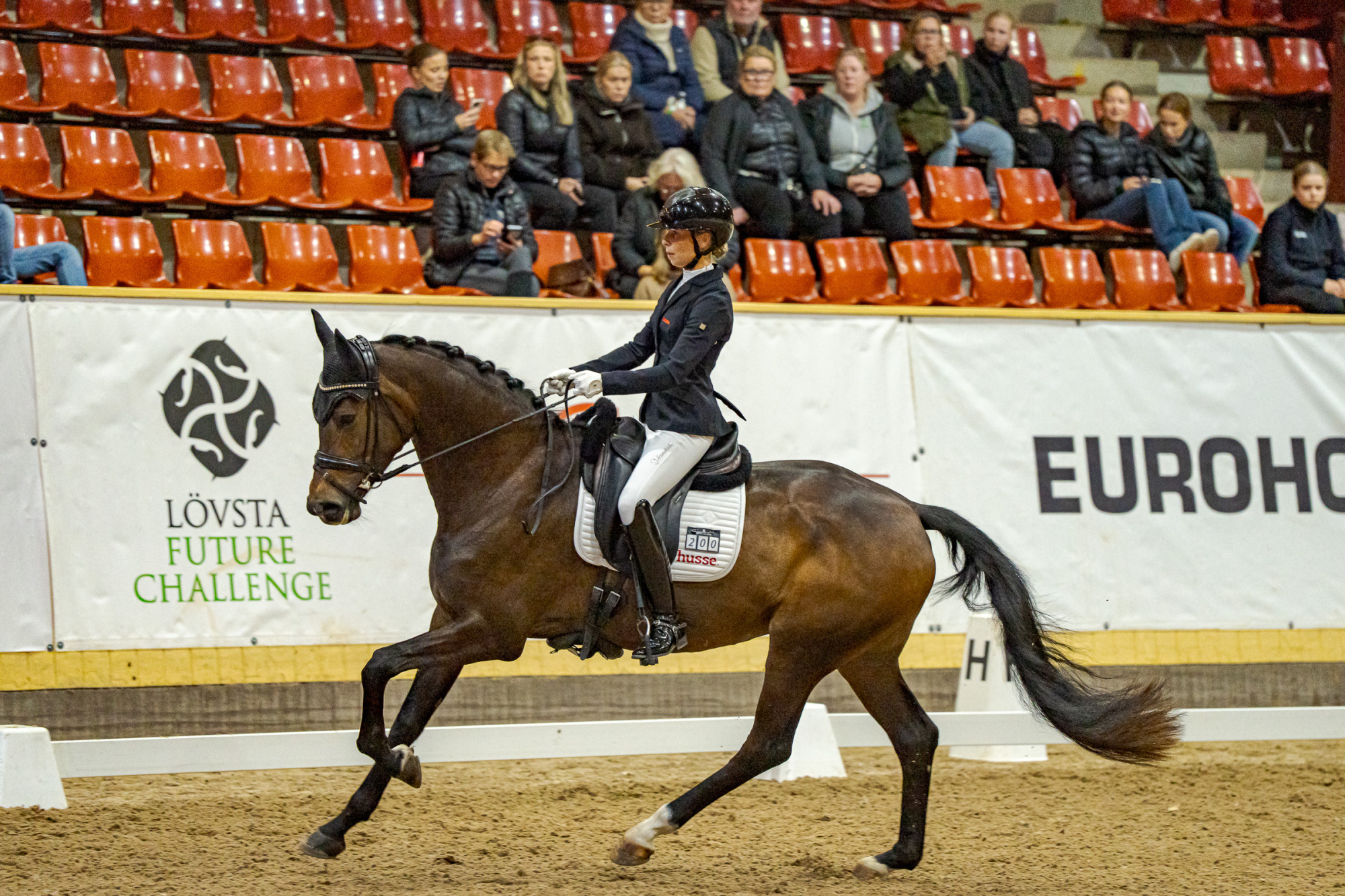 Finalfältet klart för 4- och 5-åringar - Ridsport