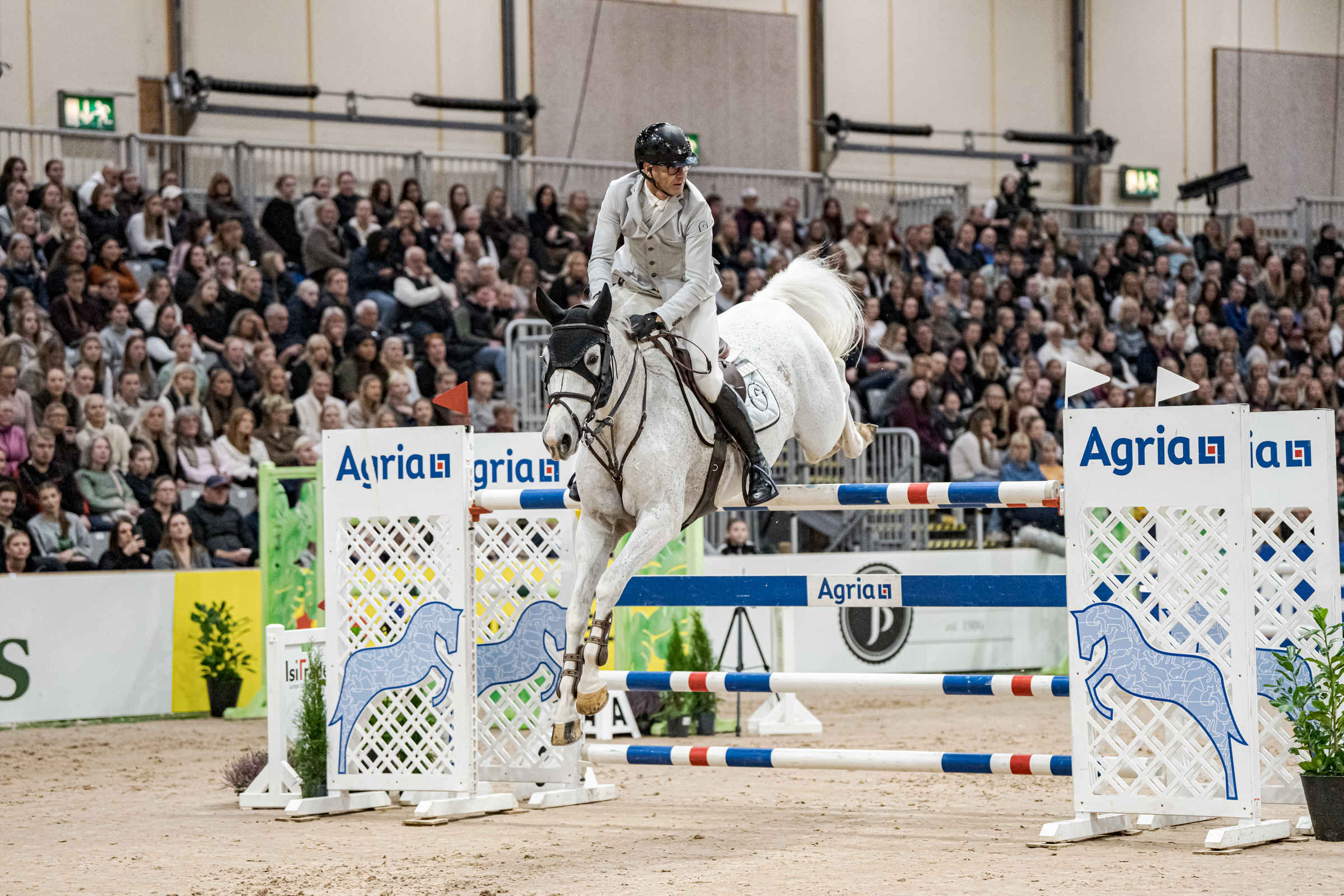 Marcus Westergren segrade i GP-kvalet: ”En underbar känsla” - Ridsport