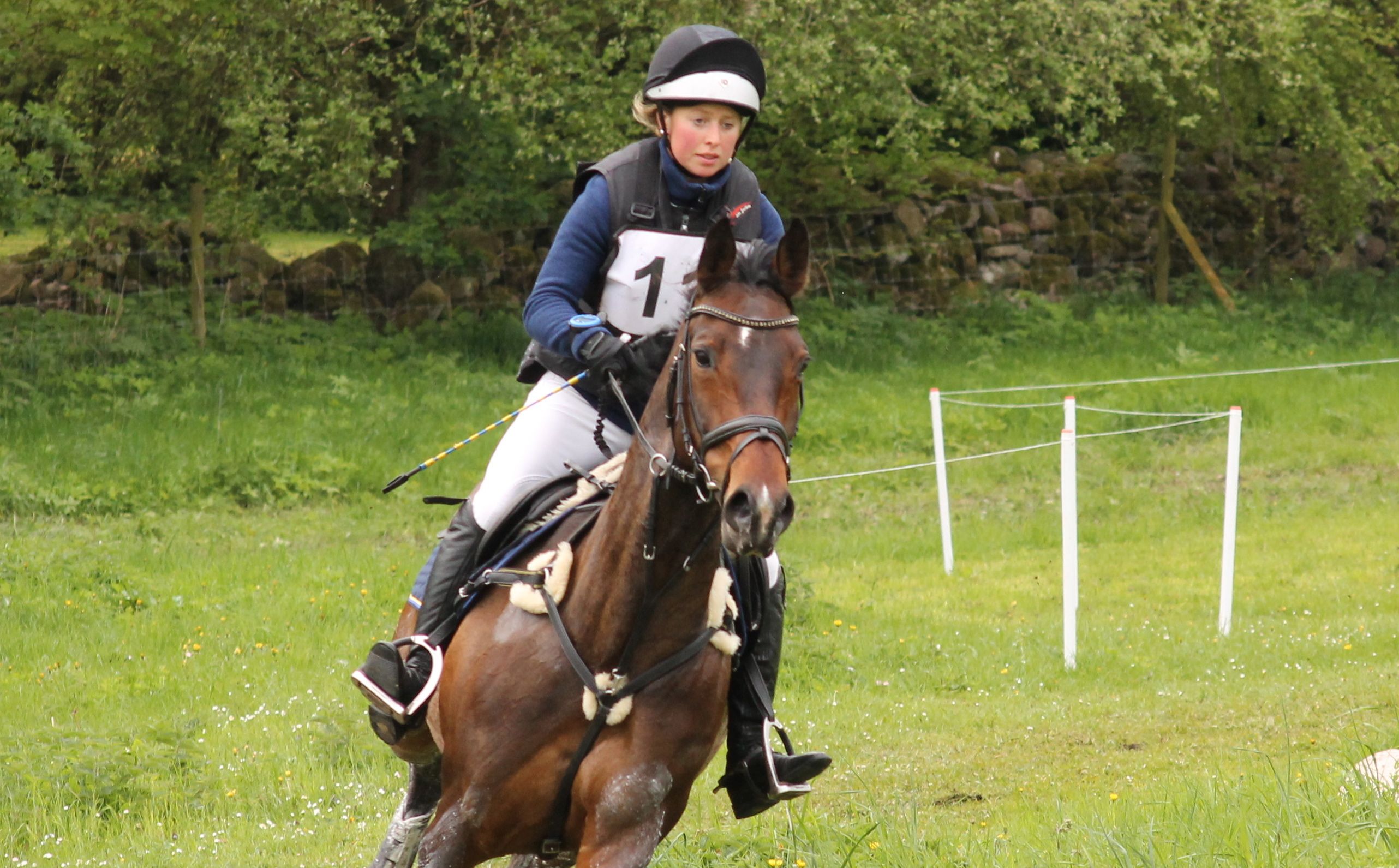 Therese Viklund vann SET - Ridsport