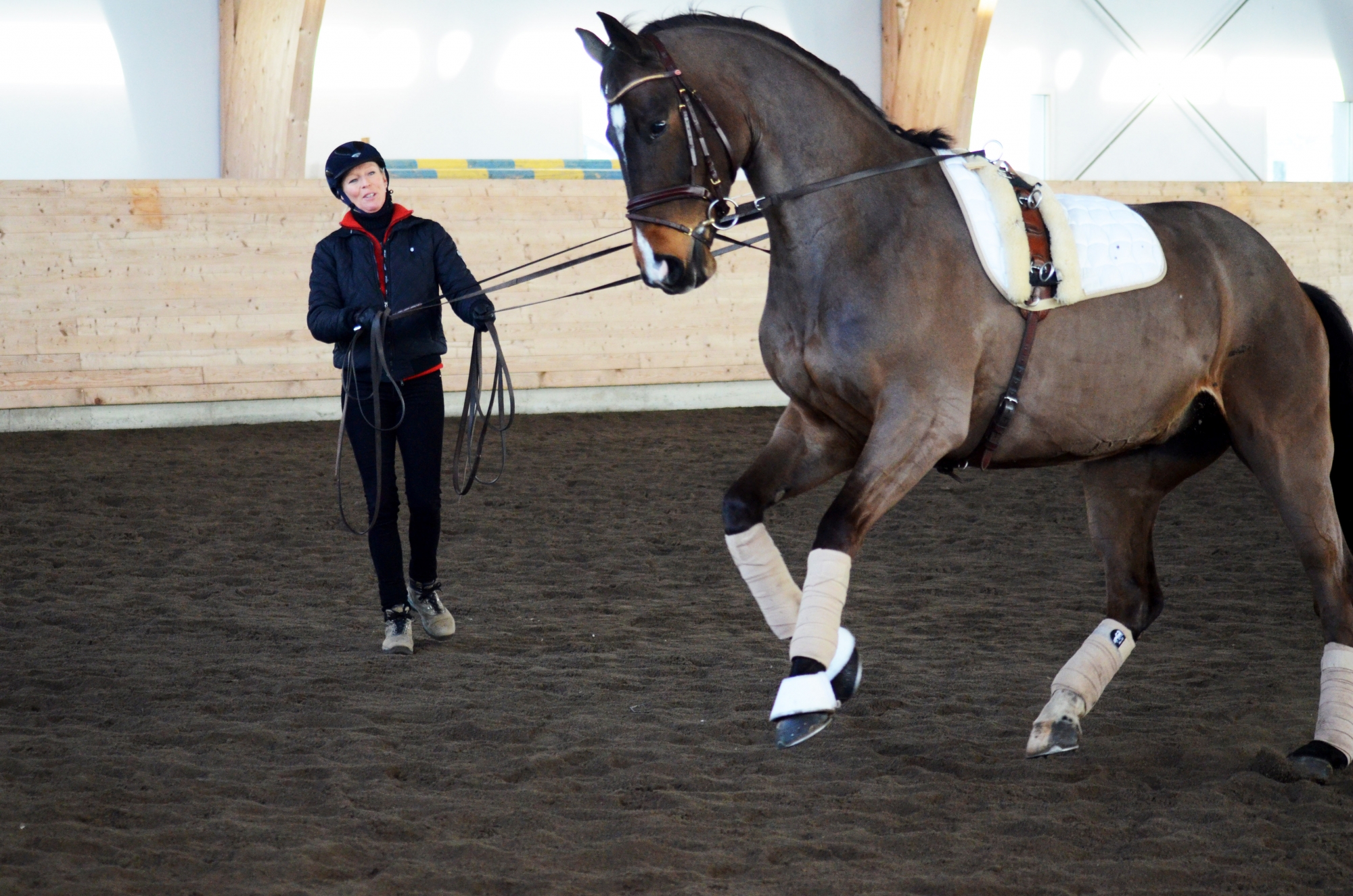 Träning krävs för att få till samlad galopp - Ridsport