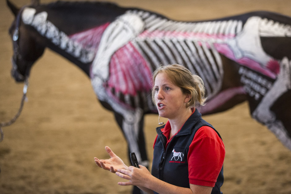 Gillian Higgins-clinic i Sverige - Ridsport