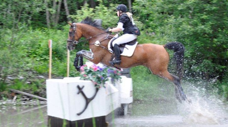 Flera NM-medaljer till Sverige - Ridsport
